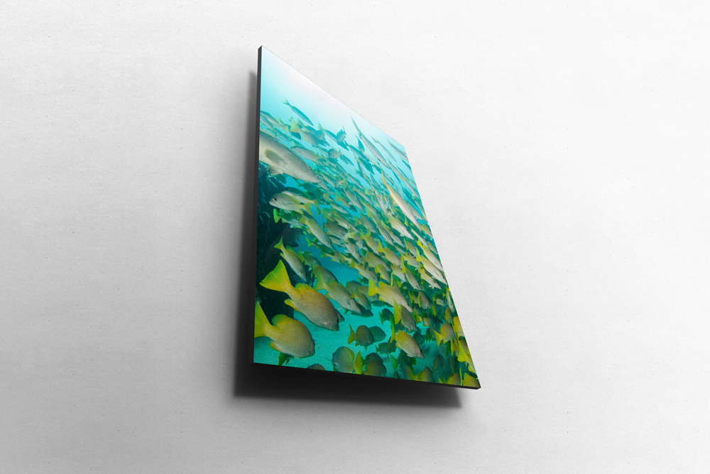 Block Mounts – The Printroom